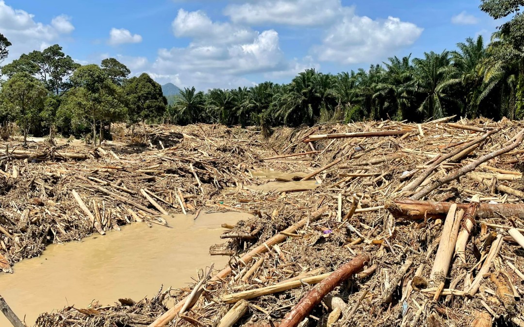 Banjir puing kayu bukan kerana pembalakan - Pakar | Edisi 9