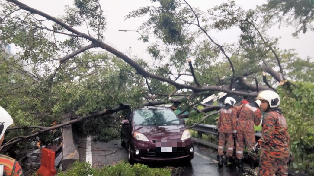 6 nyaris maut, pokok tumbang hempap tiga kereta | Edisi 9